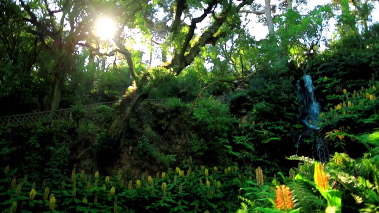 Parque e Palácio de Monserrate - YouTube