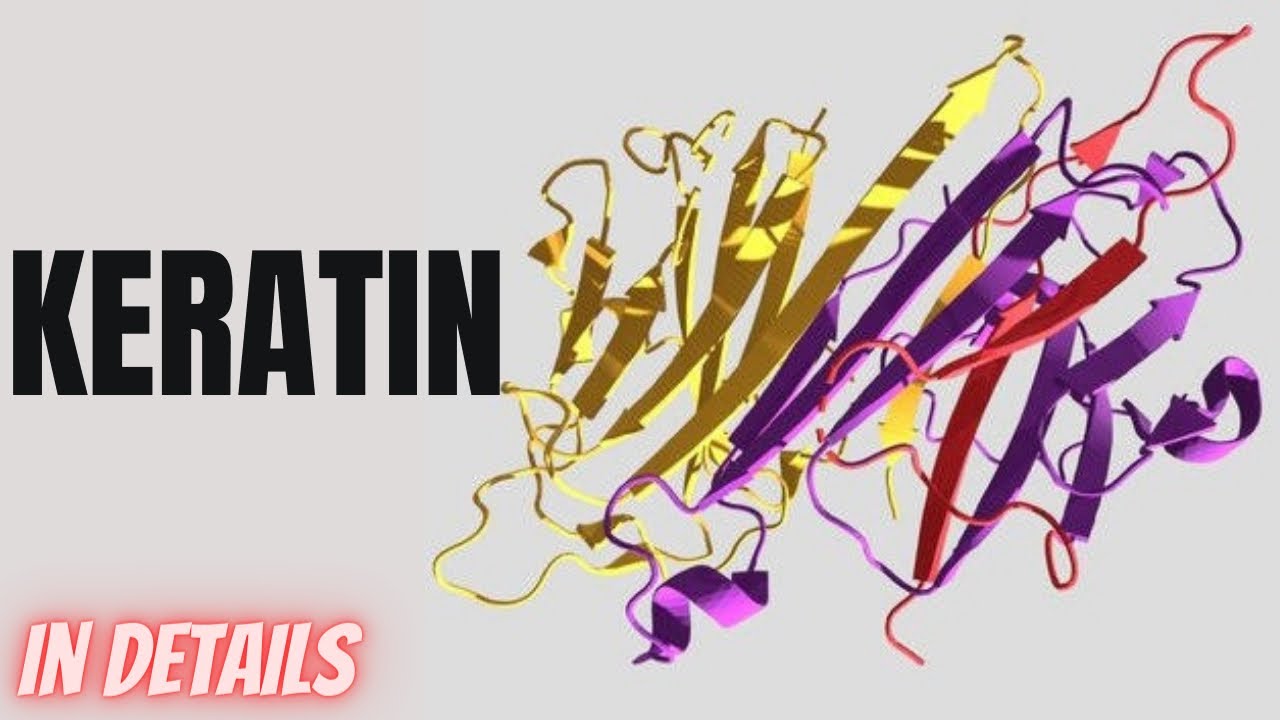 Keratin in details. All types of protein part 21 - YouTube