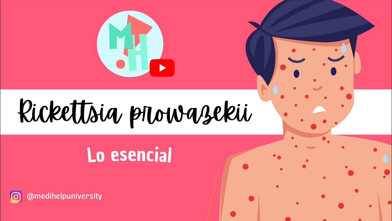 RICKETTSIA PROWAZEKII, bacteria causante del TIFO EPIDÉMICO - YouTube