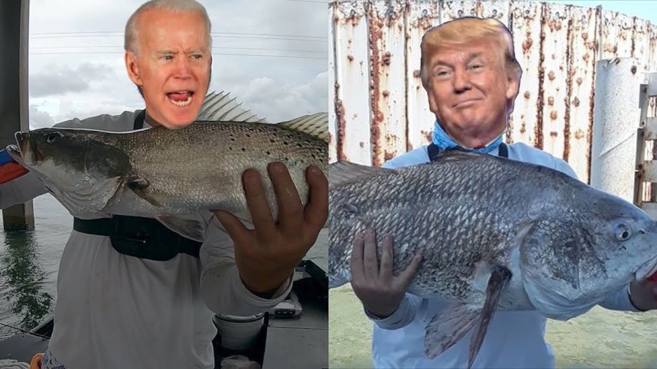 The First Presidential Fishing Debate 2020. Donald Trump Vs Joe Biden ...