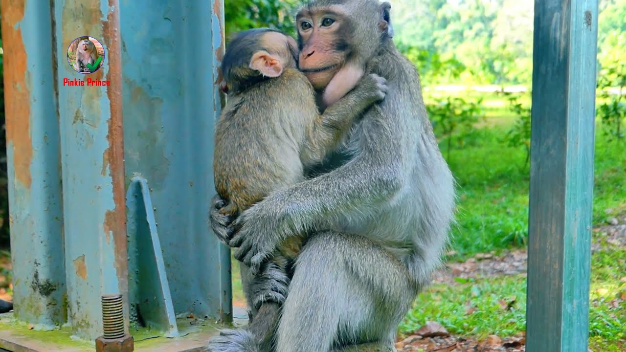 WOW LITTLE BABY TYSON HE IS VERY SWEET WITH MR JOVAN 😮😮 - YouTube