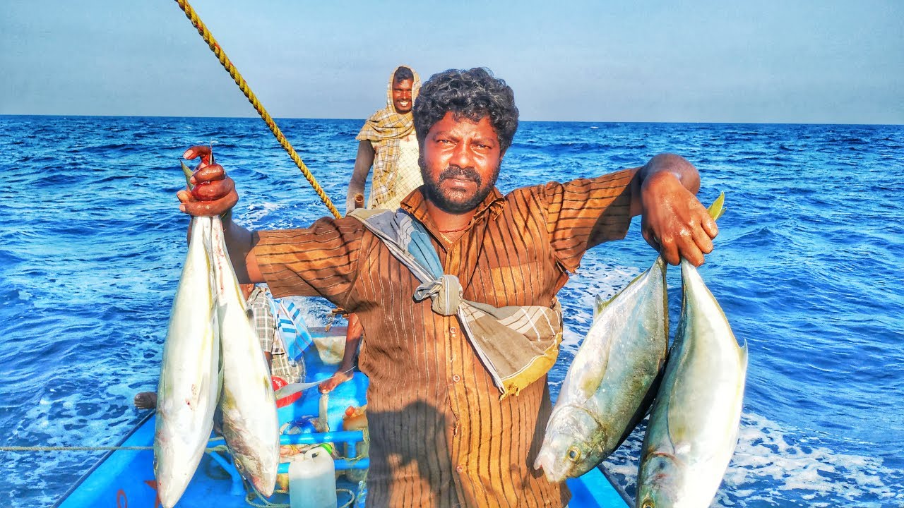 Handline fishing //bludger fish catching videos - YouTube