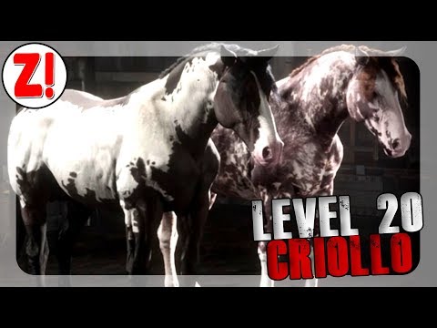 Der Level 20 Criollo! | Red Dead Redemption 2 - YouTube