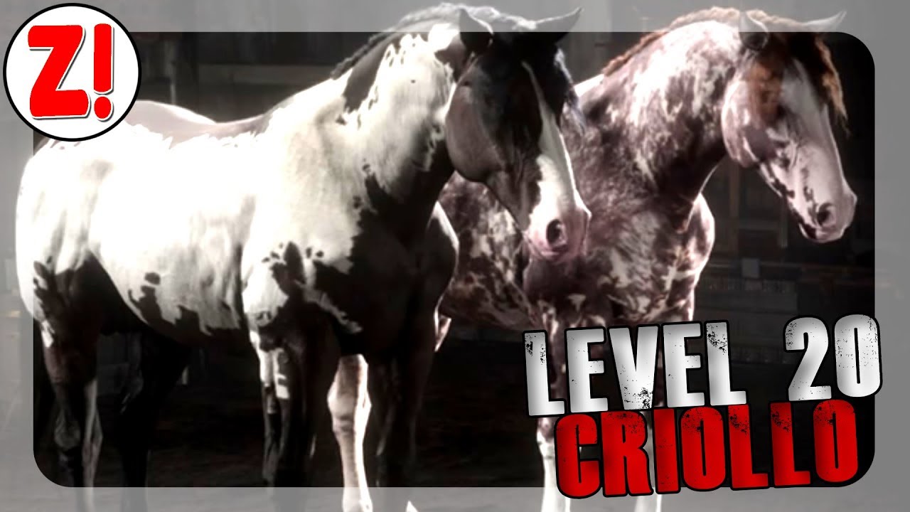 Der Level 20 Criollo! | Red Dead Redemption 2 - YouTube