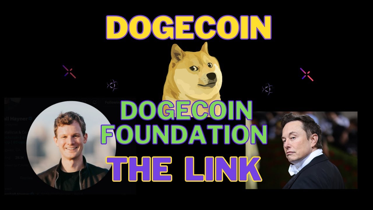 XPR Network, DOGECOIN AND DOGECOIN FOUNDATION? - YouTube