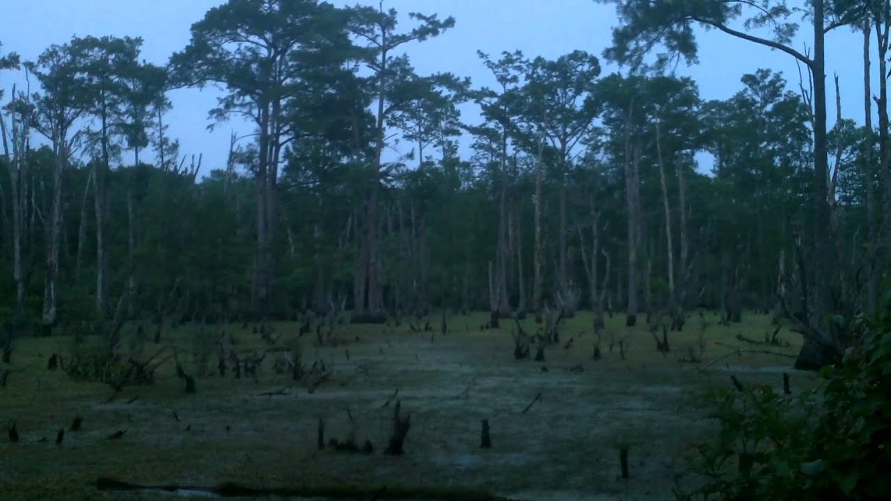 Dusk in the Sulphur River Bottoms - YouTube