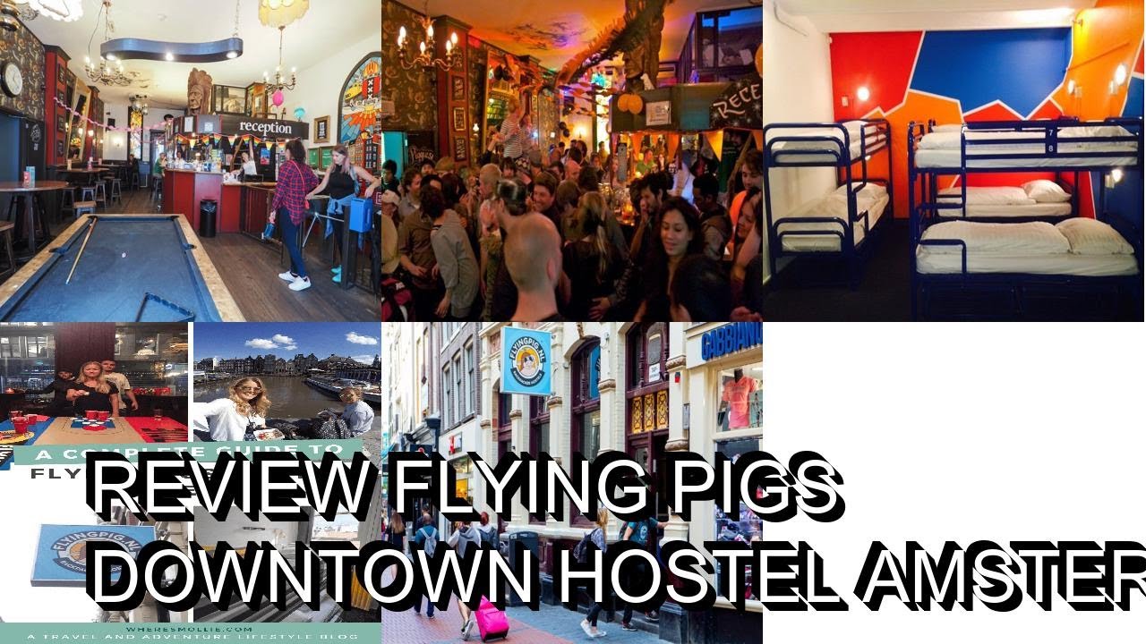 Review Flying Pigs Downtown Hostel Amsterdam - YouTube