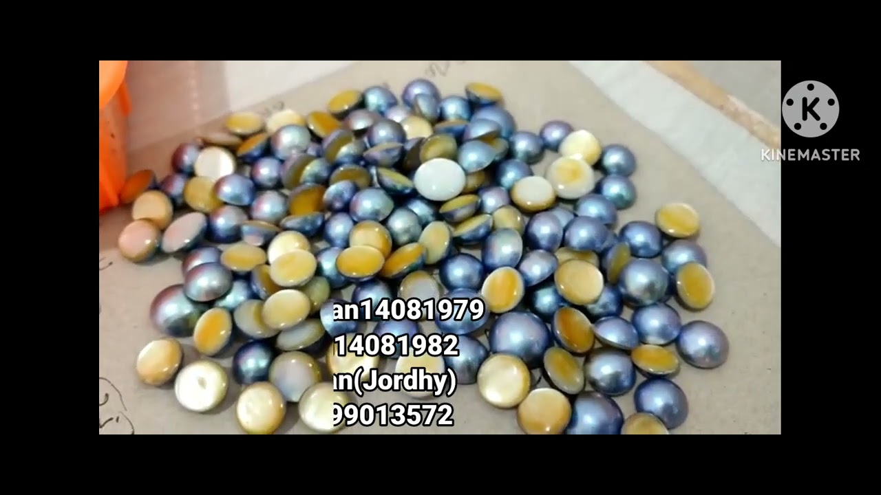 Kerang Mutiara Mabe Budidaya - YouTube