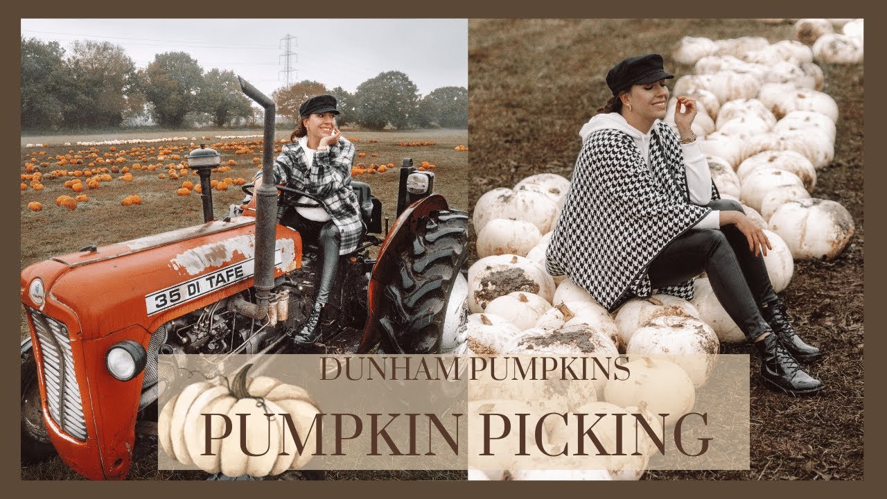 Come pumpkin picking with us to The Dunham Pumpkin Patch | Manchester ...