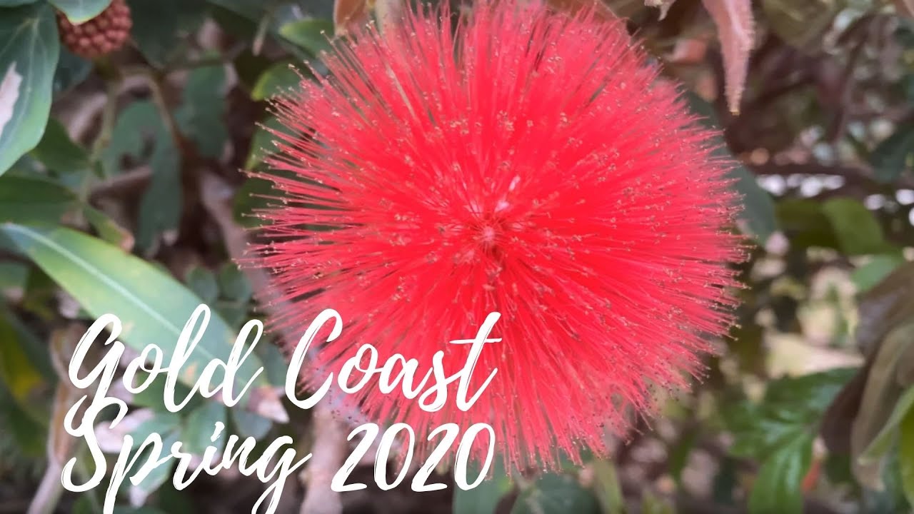 Gold Coast Spring 2020 - YouTube