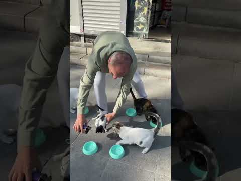 Günaydın Canlar 🙏