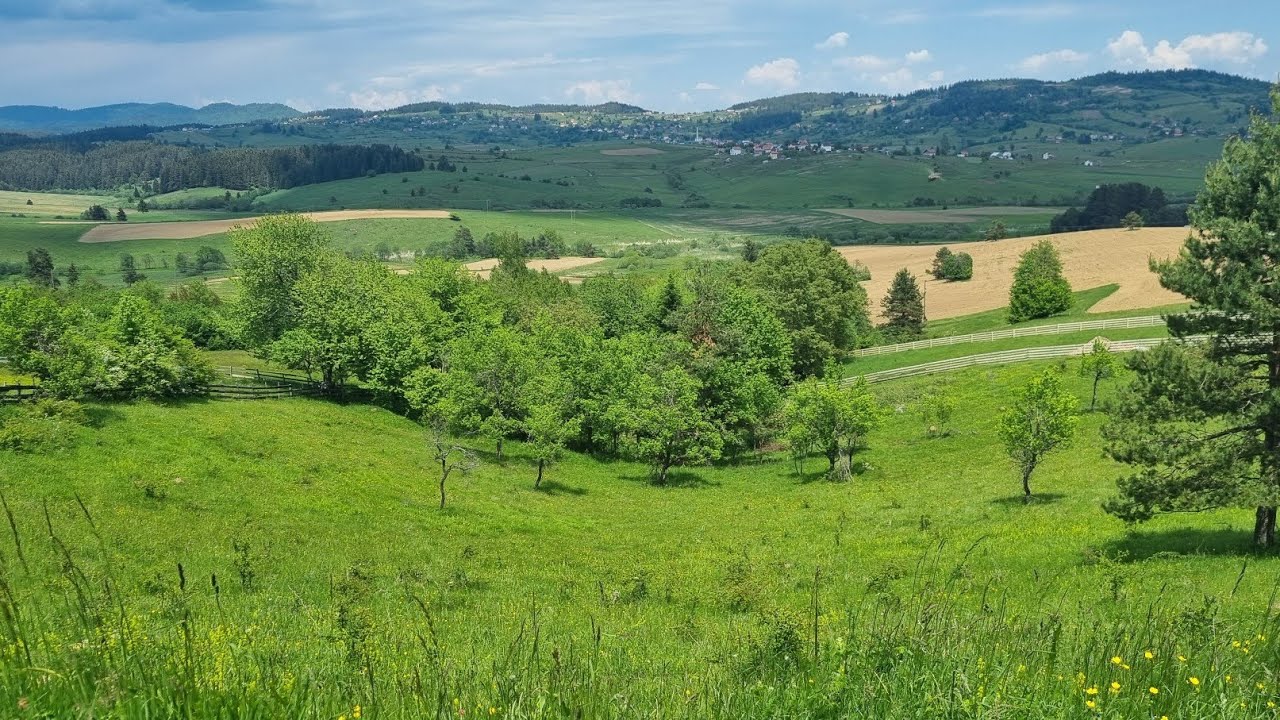 Cheap land for sale Nisici, Ilijas, Sarajevo, Bosnia. Real estate ...