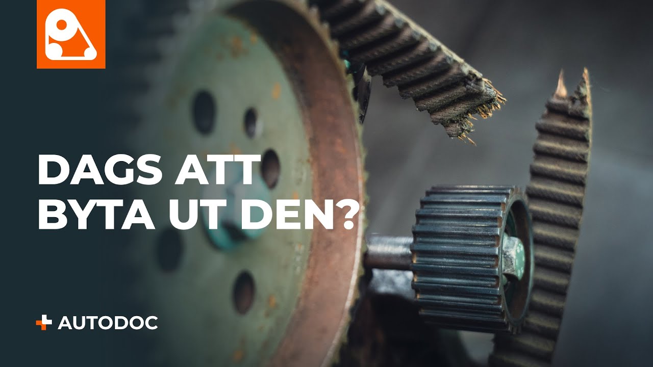 5 tecken på en sliten kamrem | AUTODOC tipsar - YouTube