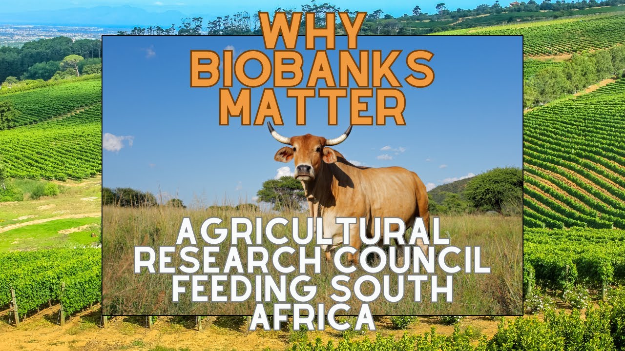 Why Biobanks Matter | ARC Biobanks Help Feed South Africa - YouTube