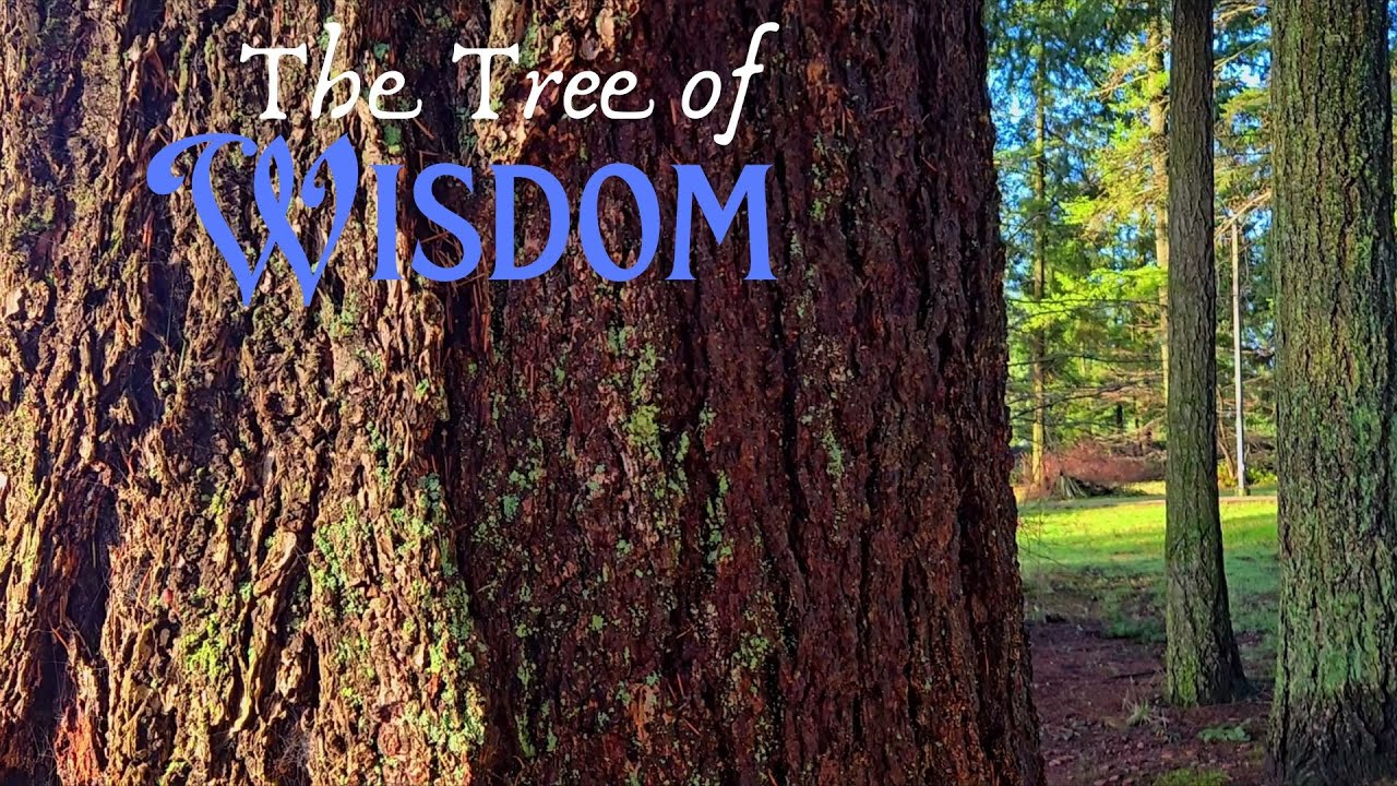 Tree of Wisdom - YouTube