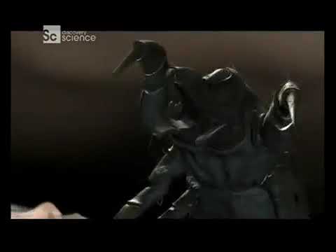 İçmizdeki Yaratıklar (Bakteriler)