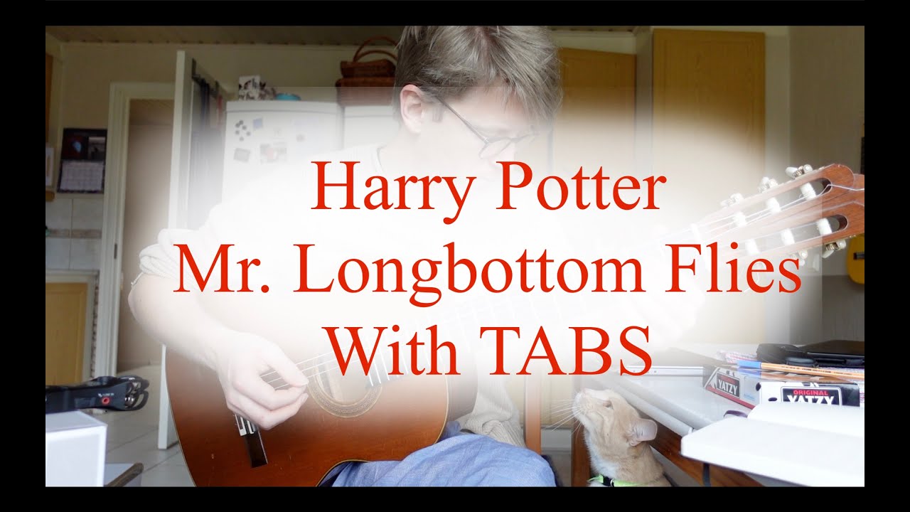 Harry Potter Mr Longbottom Flies Guitar Cover - With TABS - YouTube