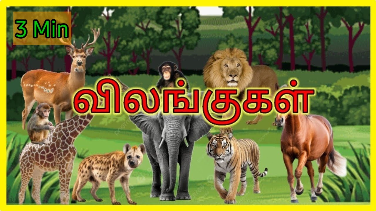 Animals Names in Tamil/ Wild Animals #animalforkids #animals #kidsvideo ...