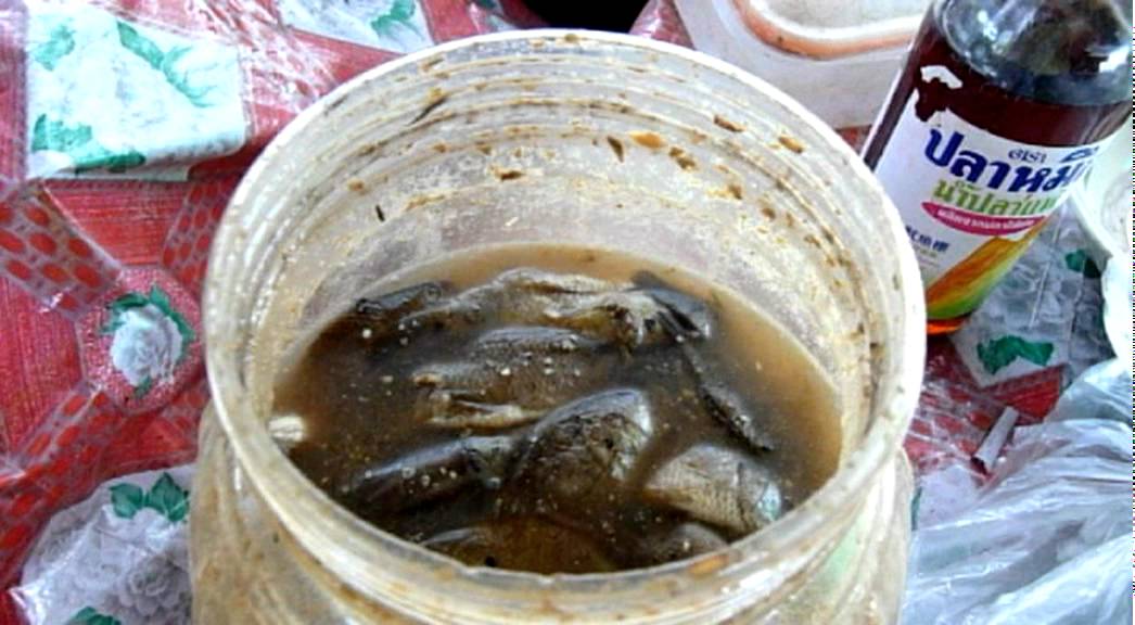 Padek or Fermented Fish Sauce - YouTube