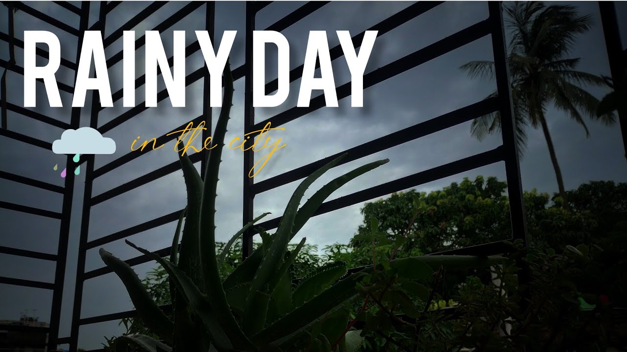 Bristir Jonno Plan Bheste Gelo 🥲🙂 | Daily Vlog ️ ️| - YouTube