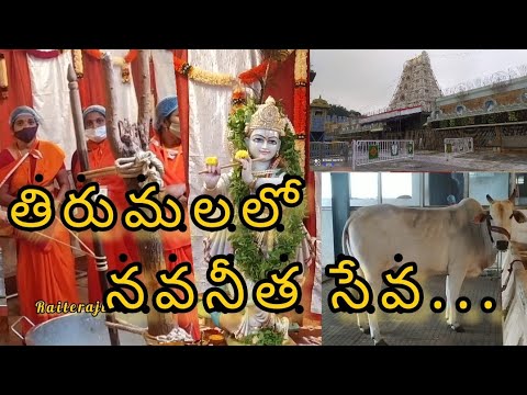 Tirumala Navaneetha Seva తిరుమల లో నవనీత సేవ 🙏🙏 - YouTube