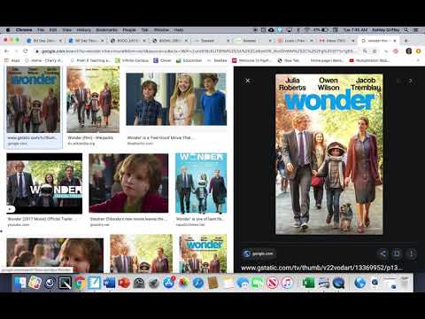 Wonder- Pages 289-310 - YouTube