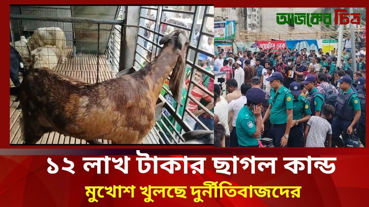 ১২ লাখ টাকার যে ছাগল কান্ডে দুর্নীতিবাজদের মুখোশ খুলে গেলো ||Sadik agro ...