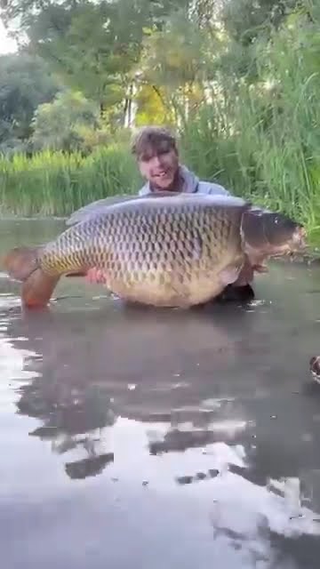 Urdu ghazal... 🐠 #fish #see #water 🐟.... #trending #urdugojol - YouTube
