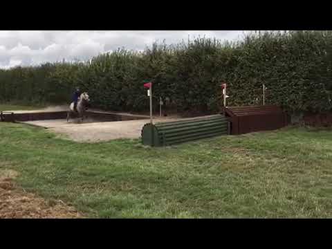 Johnny XC schooling 4yr old