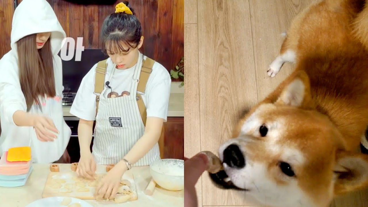 ONCE TV "Cooking Jeongyeon's Doggy Snack For Shiba Inu" | Episode 3 ...