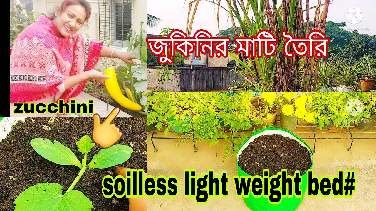 Ekdom mati chara bedei dekhar moto sobji. #soilless light weight bed. # ...