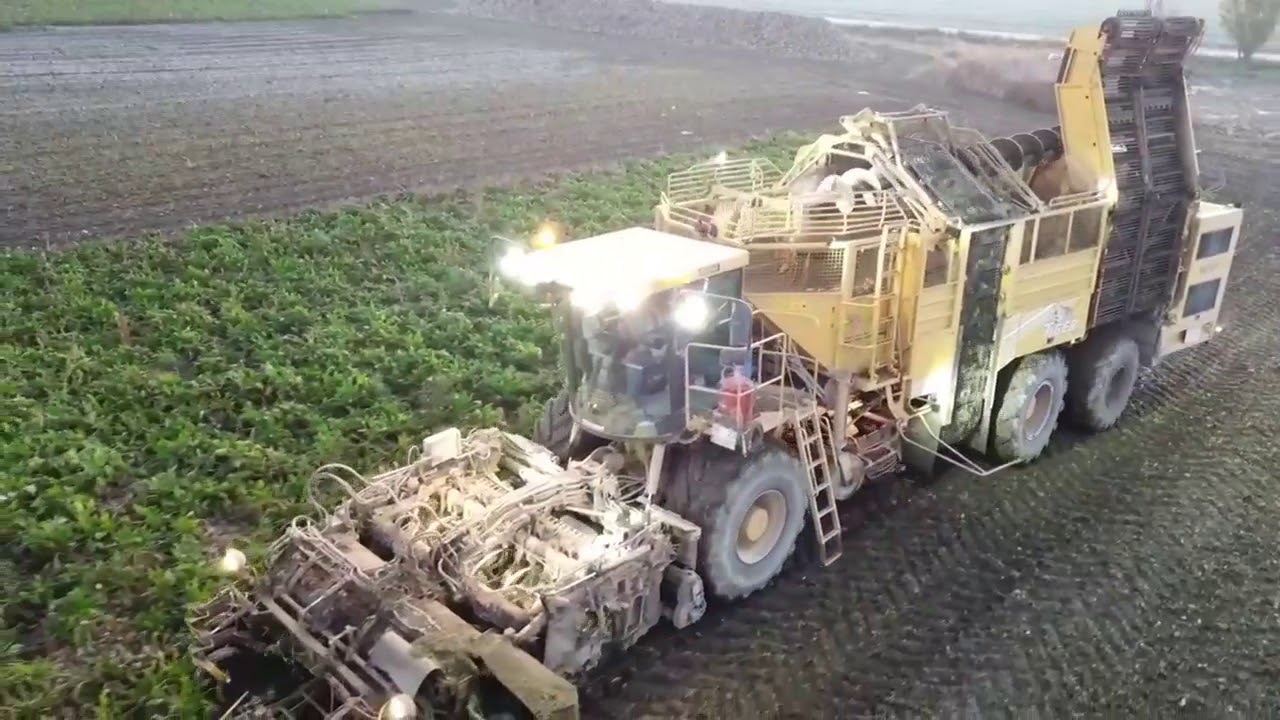 Ropa euro tiger V8-3&V8-4 TÜRKİYE 🇹🇷 - YouTube