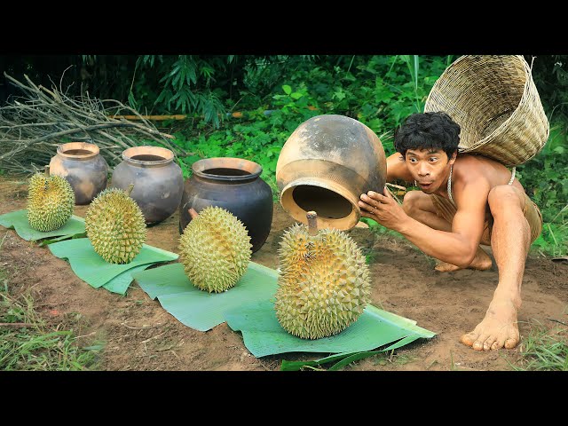 Durian In Rainforest Free Images : Tree, Nature, Flower, Food, Green,