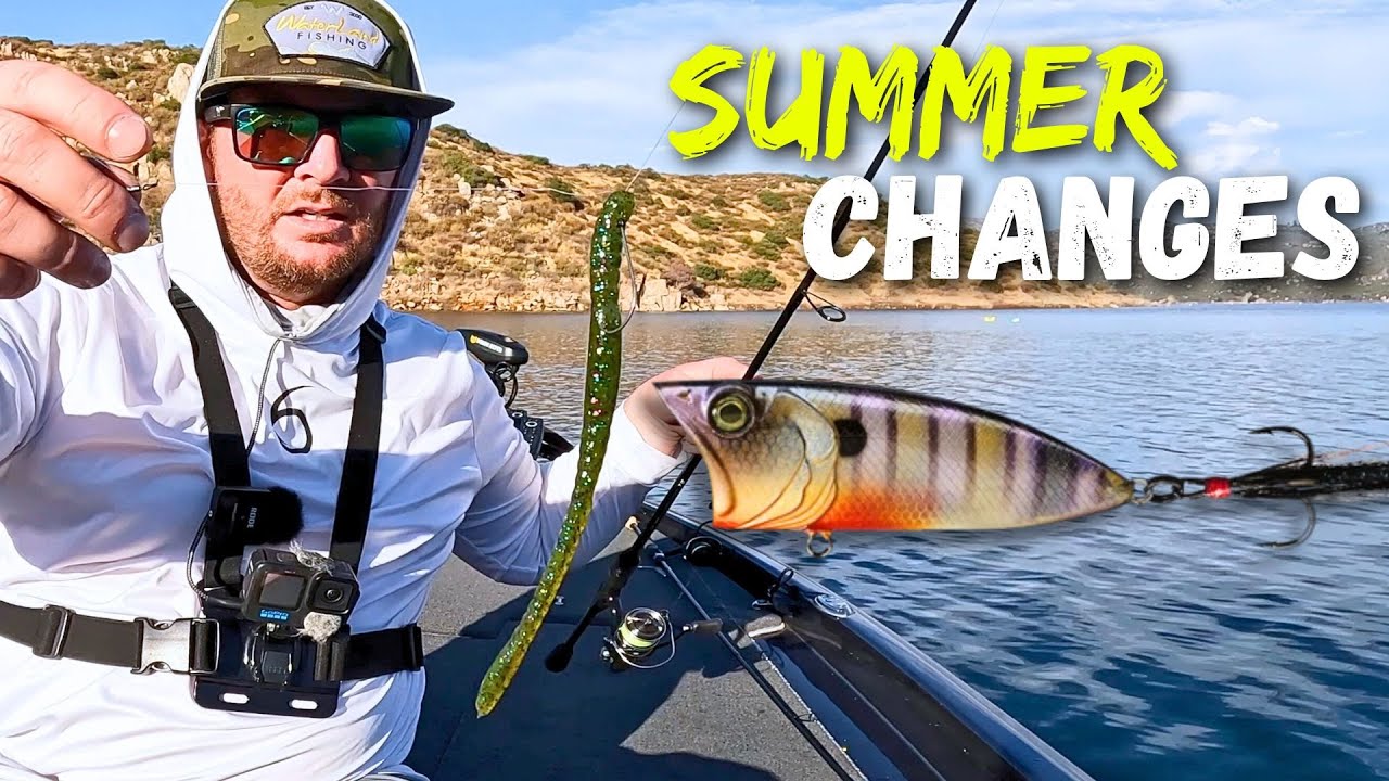 These 2 Lures Are Secret Weapons for Late Summer Bass - YouTube