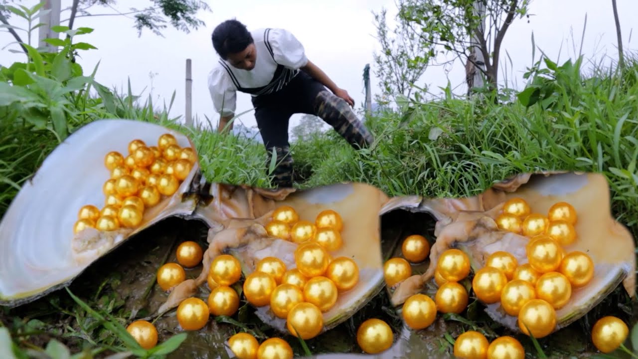 😱😱 That's amazing! The girl unexpectedly discovered a huge clam shell ...