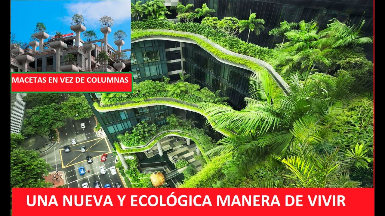 ¿QUE ES UN BOSQUE VERTICAL? - YouTube