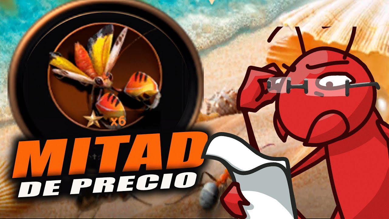 🪲 | MANTIS BOXEADORA A MITAD DE PRECIO | GUIA DE COMPRA |🌏The Ants: U.K ...