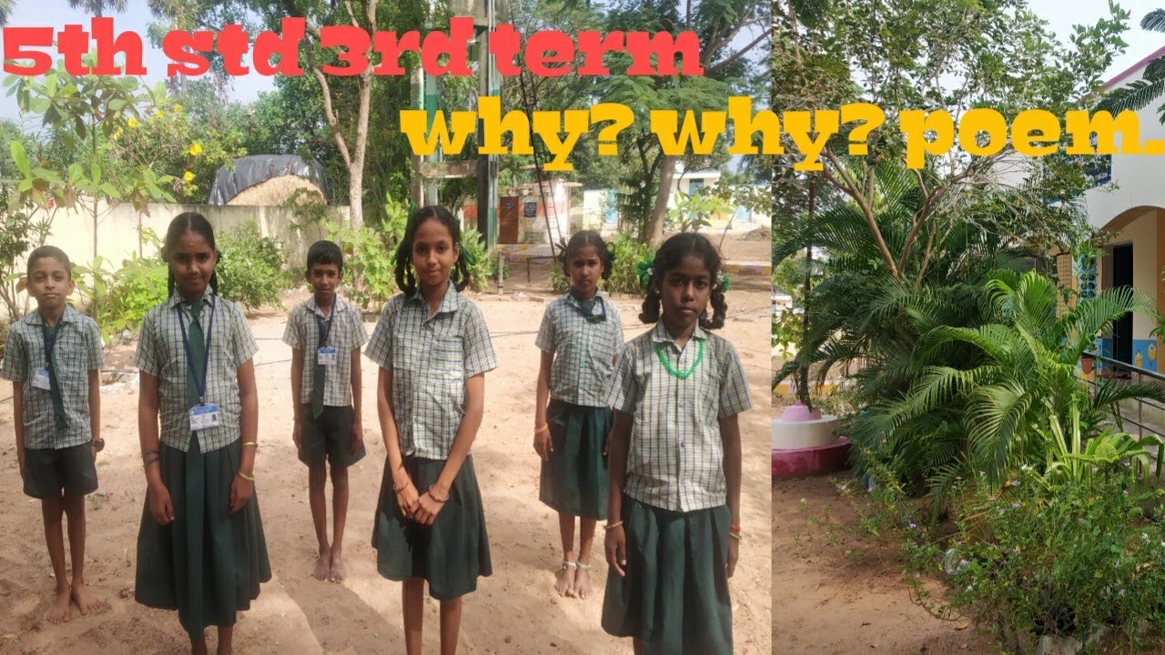 5 std 3rd term English why?why? poem . - YouTube