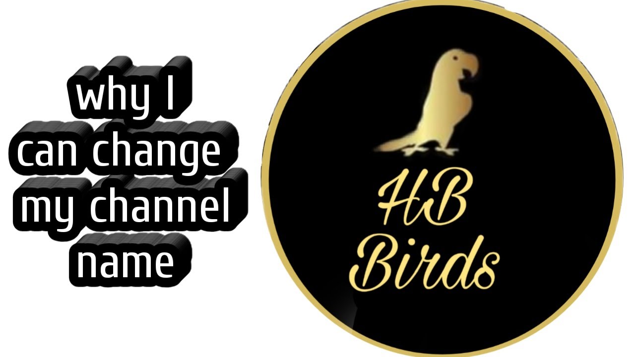 Why i can change my channel name || HB Birds || - YouTube