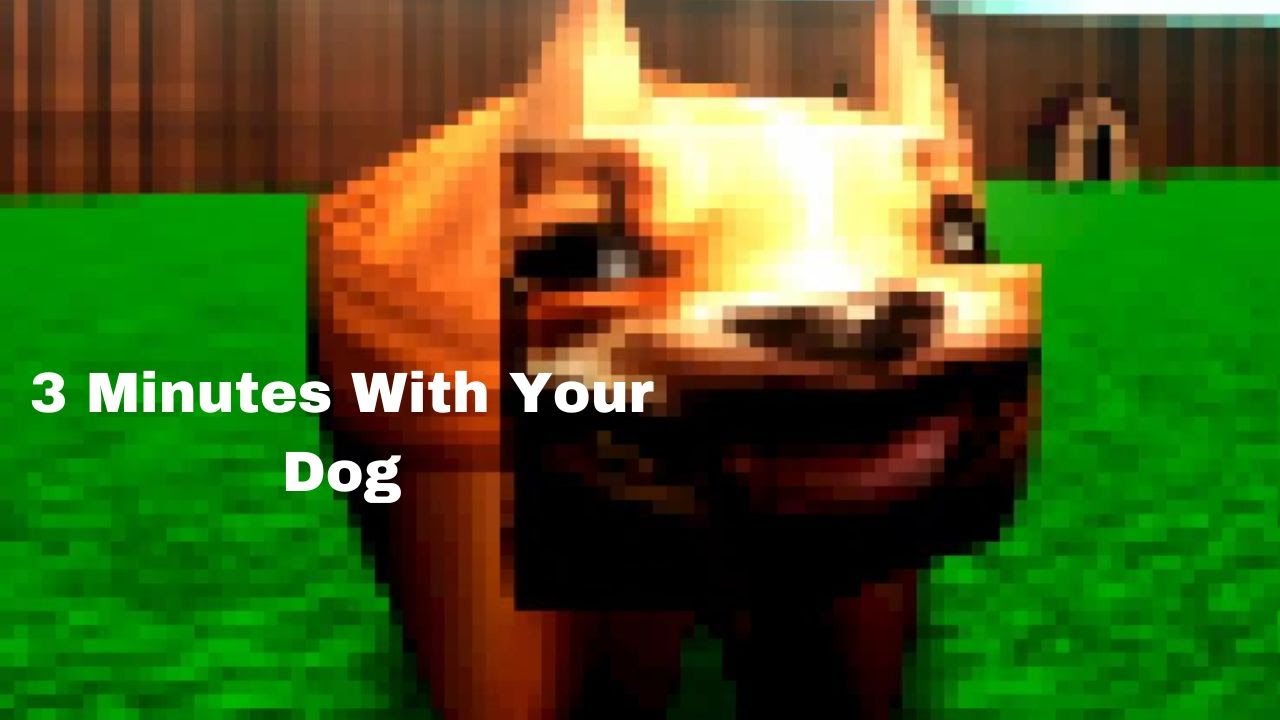 The Best Doggo - 3 Minutes With Your Dog - YouTube