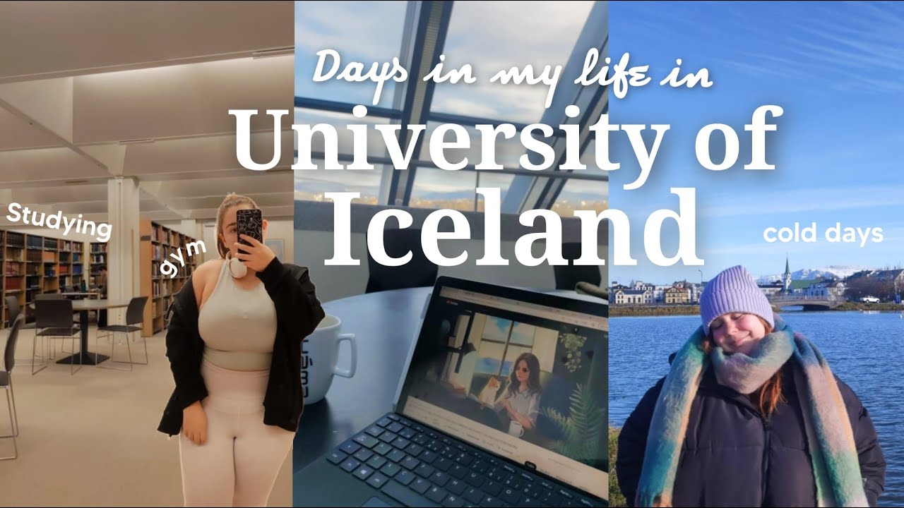 Days in the University of Iceland: Studying, going to the gym and the ...