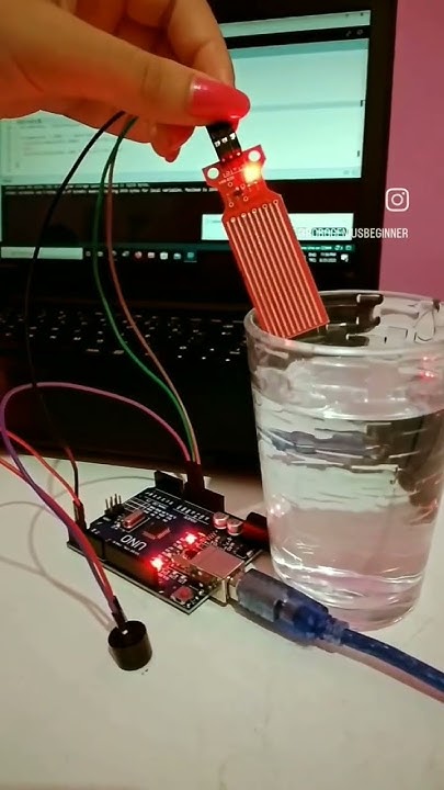 Robot Robotics Codeismylife Cod Clanguage Programming Coding Codinglife Tutorial