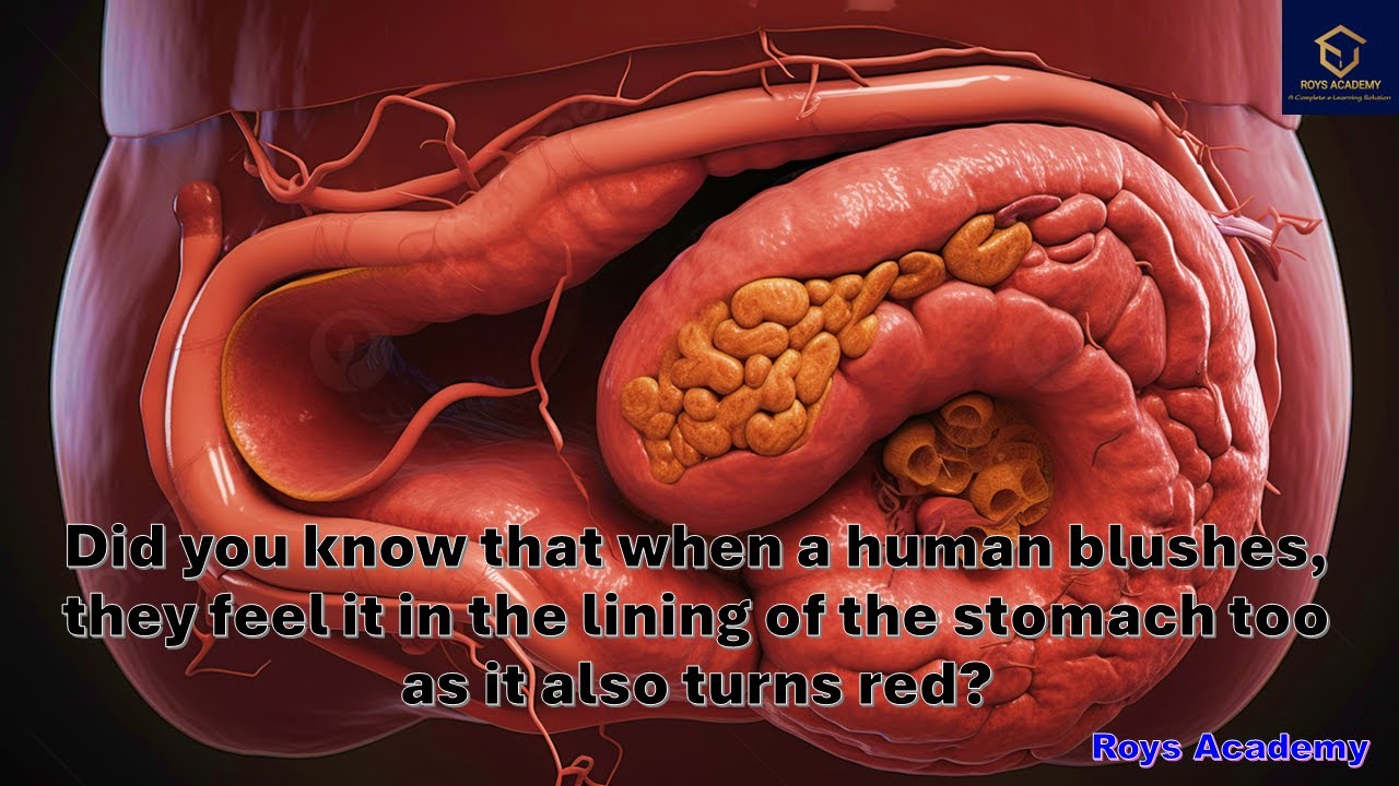 Did you know when a human blushes they feel it in the lining of the ...