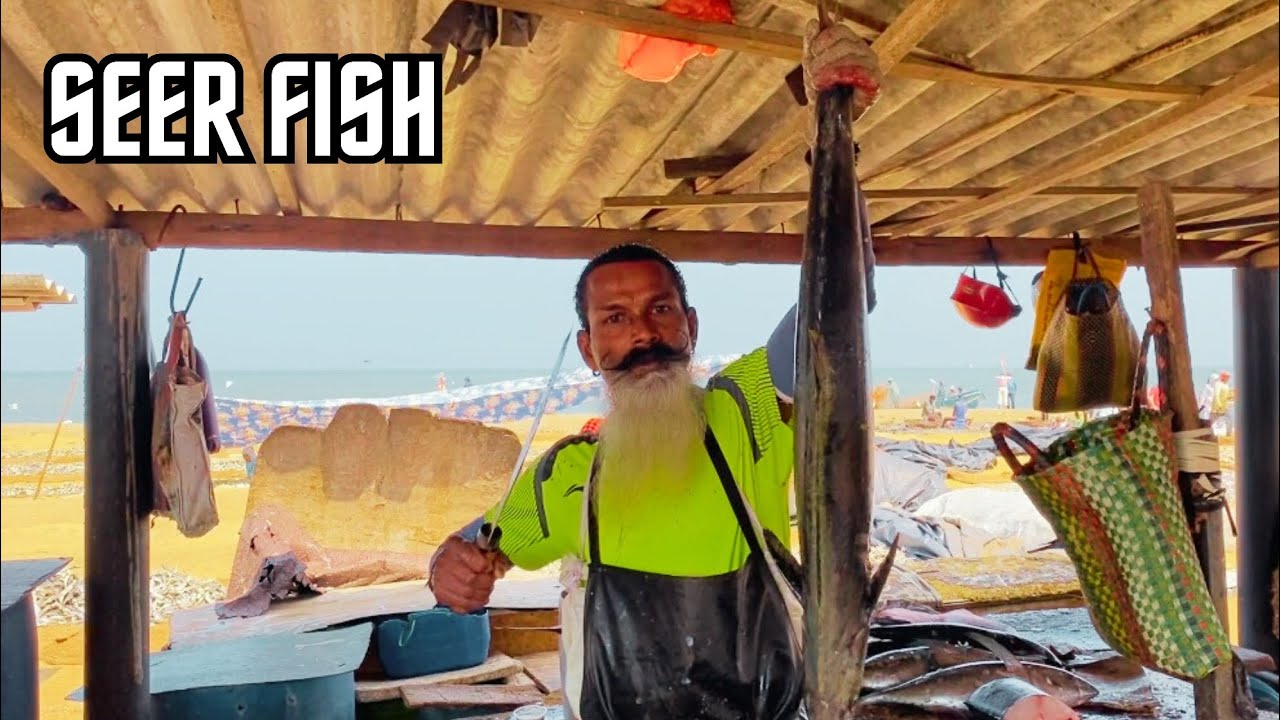 Mastering Big Seer Fish Slicing | Pro Tips and Techniques for Perfect ...