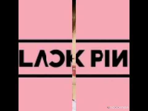Blackpink üyeleri tanıtım;)