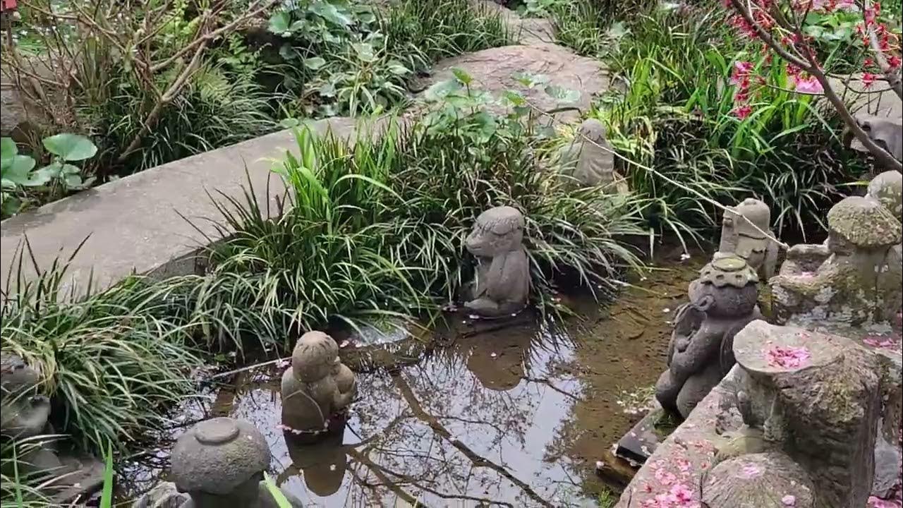 【リクエストありがとうございます】大和市福田 花のお寺『常泉寺』散歩 #大和市 #常泉寺 #桜 #みつまた #寺 #散歩 - YouTube 【リクエストありがとうございます】大和市福田 花のお寺『常泉寺』散歩 #大和市 #常泉寺 #桜 #みつまた #寺 #散歩 - YouTube