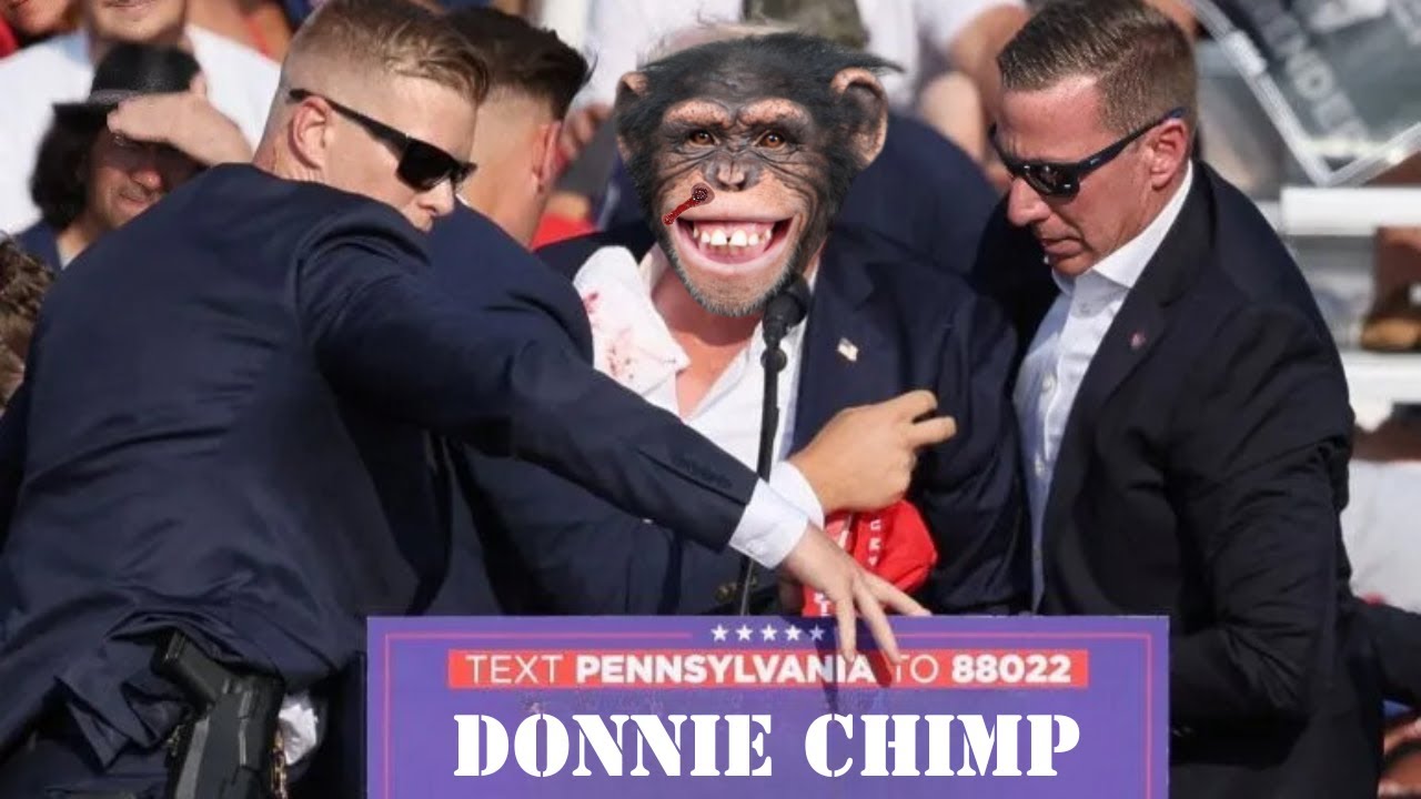 Donnie Chimp For President! - Philosophy + News + Copping Out?! Matt ...