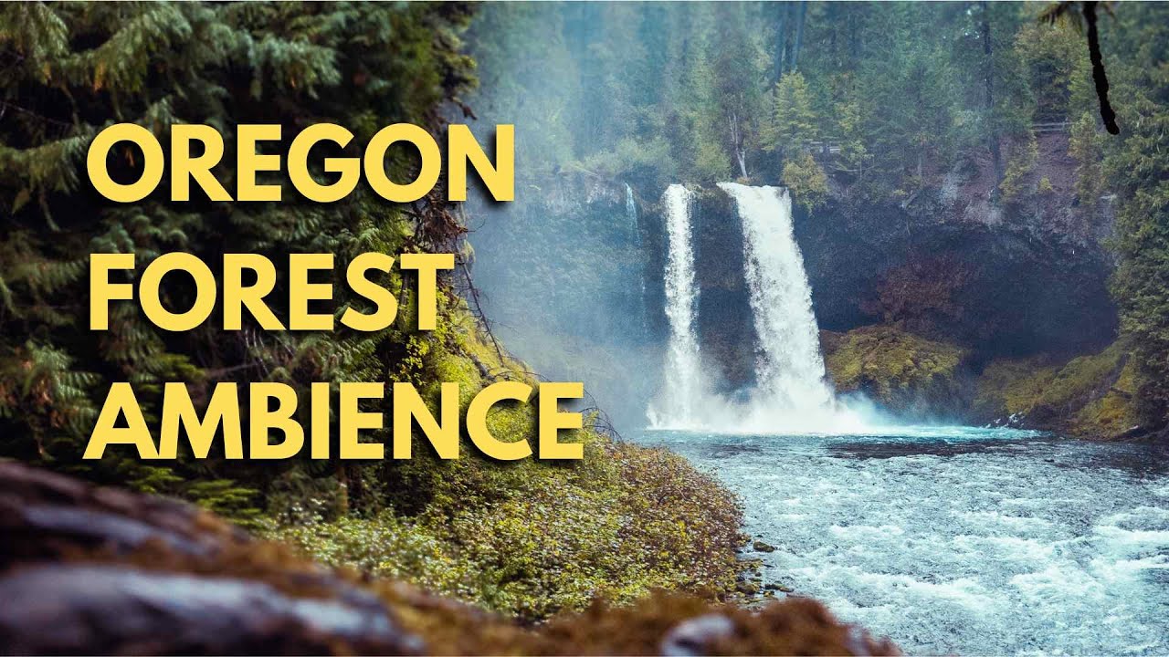 2 - Hours Oregon Waterfall & Rain Ambience | Rainy Forest Sounds ...