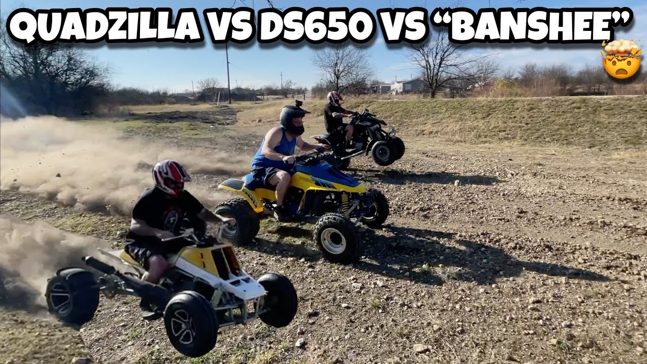 Quadzilla vs DS650 vs "Banshee" - YouTube