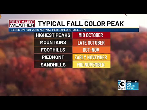 When will we start to see change for Fall?